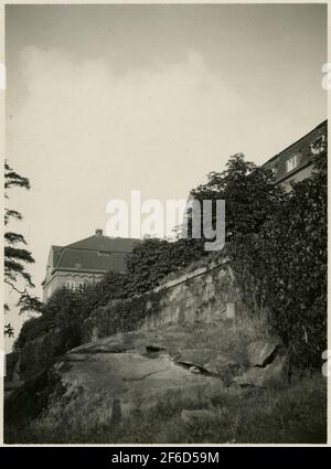 The control office at Tomteboda. The terrace with chestnuts and claw ...