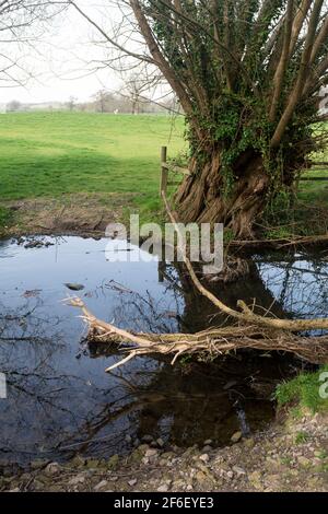 Sherbourne Brook, Sherbourne, Warwickshire, England, UK Stock Photo - Alamy