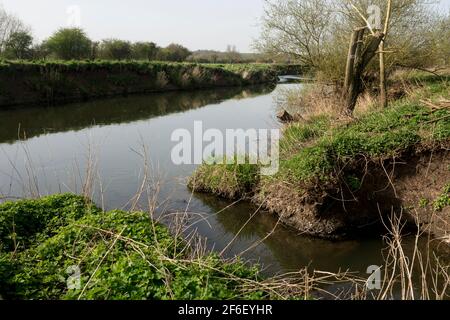 Sherbourne Brook at its confluence with the River Avon, near Sherbourne ...