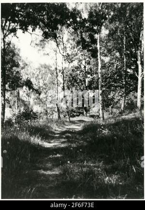 Banvall after Hamra Railway Stock Photo - Alamy