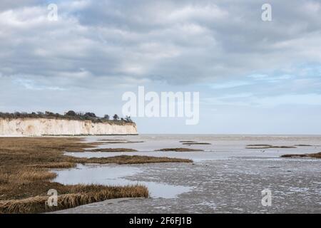 Pegwell Bay Nature Reserve, Cliffsend, Kent, Thanet, UK. With view to ...