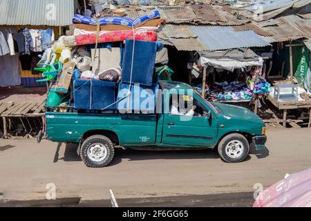 Nairobi, Kenya. 31st Mar, 2021. The Joker butterfly scientifically ...