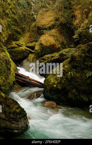 Waterfall falling over mossy stones in gorge. Ordesa, Pyrenees Stock ...