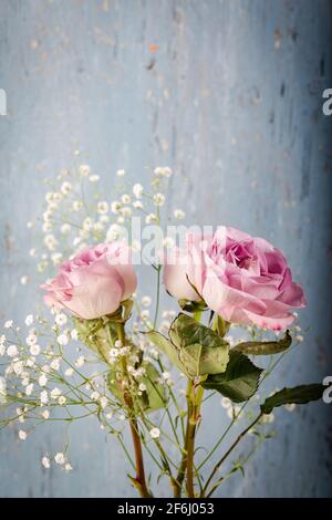 Lilac, pink, blue and green wooden pencils isolated on white background ...