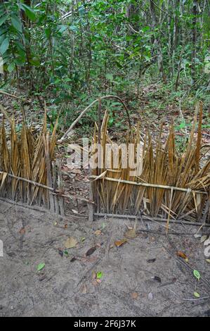 Brazilian Native's animal trap Stock Photo - Alamy