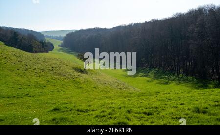 Lincolnshire Wolds in Spring Stock Photo - Alamy
