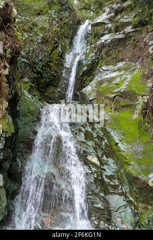 Natural scenery around the Fjordland, a geographic Region at the South ...