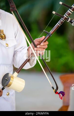 Spike fiddle, Tro, being played by a musician at a Cambodian wedding ...