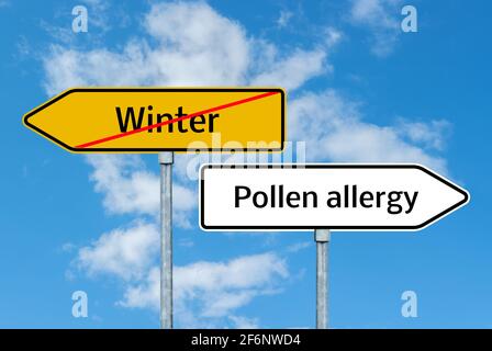 Pollen allergy concept and hay fever allergies as a medical symbol as ...