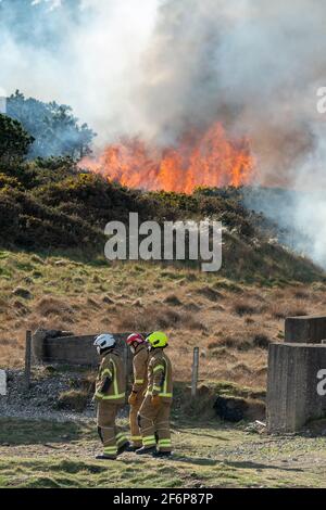 30 March 2021. Wildfire strikes woodland area near Kingston in Moray ...
