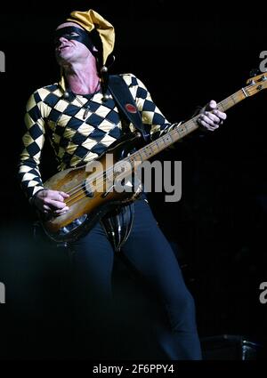 31 October 2007 - New York , NY - Katrina Bowden at Roberto Cavalli's ...