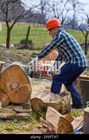 Farmer with chainsaw logging some beech wood at home Stock Photo - Alamy