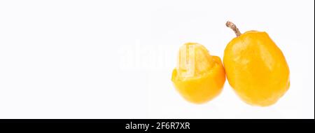 Spondias purpurea - plum, jobo, xocote, plum of huesito, jocote, cocota ...