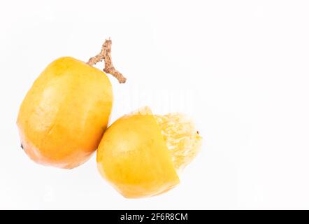 Spondias purpurea - plum, jobo, xocote, plum of huesito, jocote, cocota ...