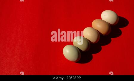 Organic eggs of five colors on a red background Stock Photo - Alamy