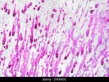 Pink wall and white smoke. Abstract romantic background for party ...