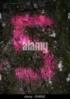 painted numbers on tree Stock Photo - Alamy