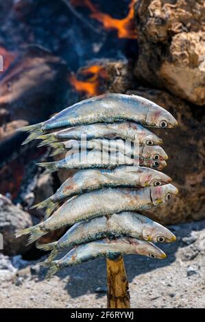 Espeto de sardinas Stock Photo - Alamy