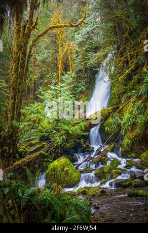 Merriman Falls. Olympic National Park, Washington, USA Stock Photo - Alamy