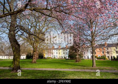 Spring blossom at Victoria Park in Sneinton Nottingham, Nottinghamshire ...