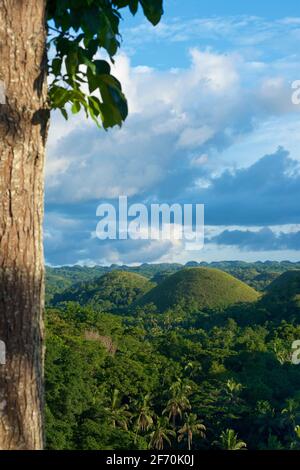The Chocolate Hills (Cebuano: Mga Bungtod sa Tsokolate, Tagalog ...