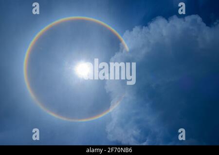 A solar halo or sundog in a Filipino sky. Palm trees. The Philippines ...
