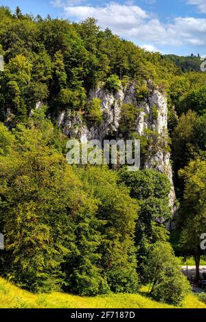 Panoramic view of Pradnik creek valley with jurassic limestone mountain ...