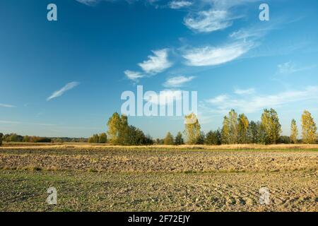 Plowed field and trees on the horizon, white clouds on the sky Stock ...
