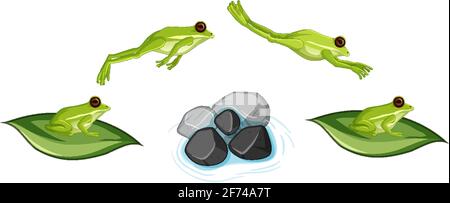 Movement of frog jumping on white background Stock Vector Image & Art ...
