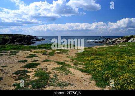 View of Coscia di Donna coast Stock Photo - Alamy