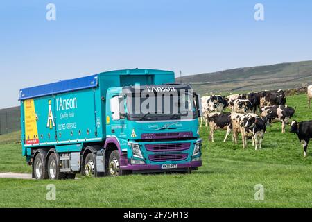 Lorry delivering a bulk load of animal feed to a dairy farm in North ...