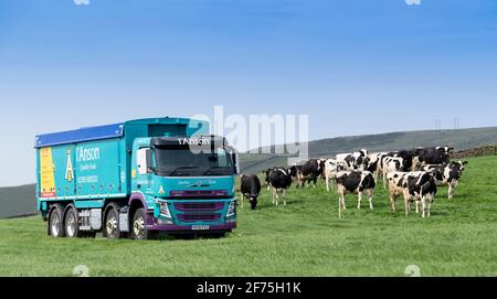 Lorry delivering a bulk load of animal feed to a dairy farm in North ...