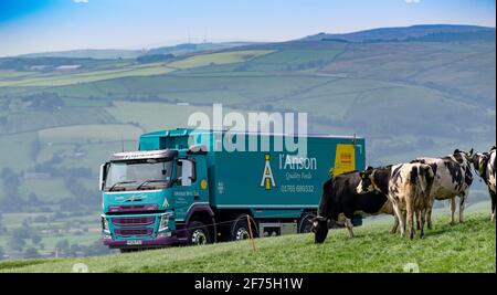 Lorry delivering a bulk load of animal feed to a dairy farm in North ...