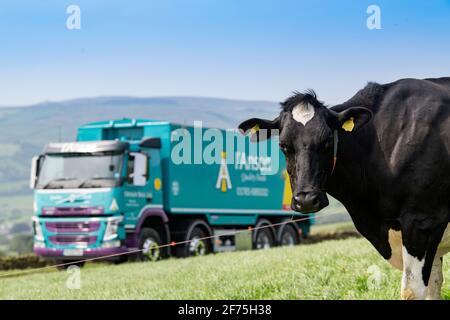 Lorry delivering a bulk load of animal feed to a dairy farm in North ...