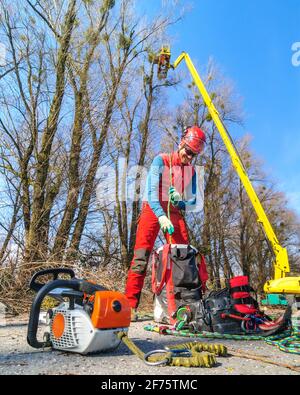 Treeworker doing their job with a skylift Stock Photo - Alamy