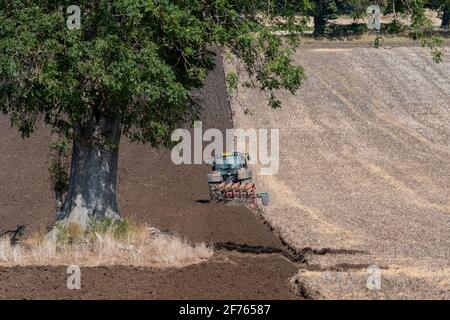 Farmer ploughing in stubble after taking crop off, using a Valtra ...