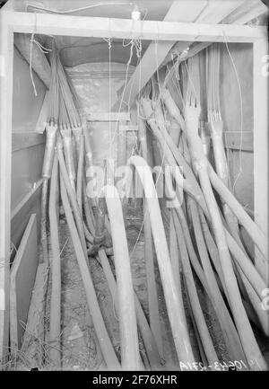 Vegagatan 10, Stockholm. The cable cellar. (Southern Vaasa Stock Photo ...