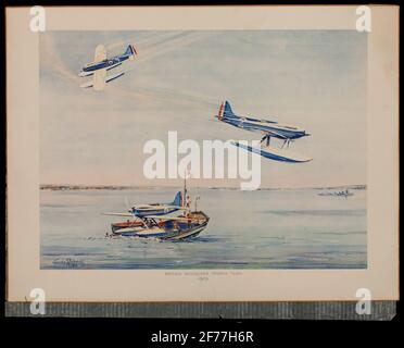 Painting after watercolor with motifs of gliders. British Trophy Team ...