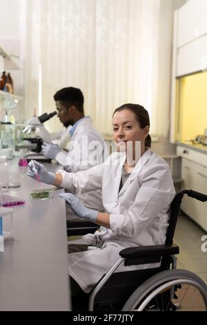Young chemist working at the lab Stock Photo - Alamy
