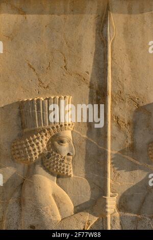 Relief of Persian guards, Persepolis, Iran Stock Photo - Alamy