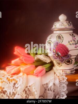 springtime tulip blossoms still life - white background with user space ...