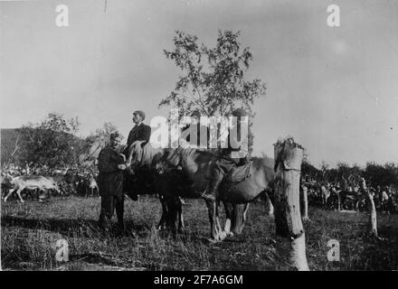 Motif from Sjangeli copper grapes Stock Photo - Alamy