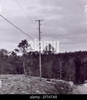 Co-building with electric nets in 1960 Stock Photo - Alamy