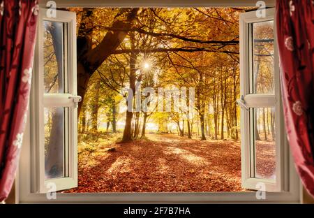 Open window with fresh air and countryside scenery views. Red curtains ...