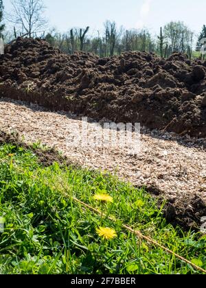 Organic vegetable garden with fertile covered soils and rows of growing ...