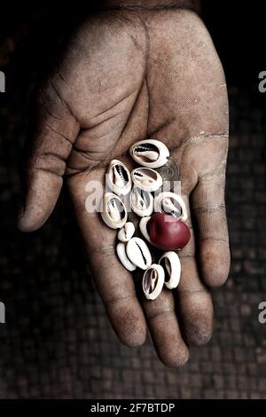 Cowrie shells are part of rituals in Africa. Cowrie shells became a ...