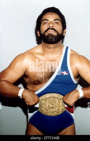 **FILE PHOTO** Dominican Wrestler Jack Veneno Has Passed Away. Veneno's ...