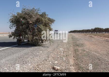 Fully loaded carriage en route through Morocco Stock Photo - Alamy
