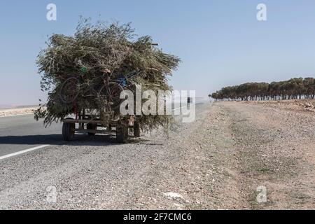 Fully loaded carriage en route through Morocco Stock Photo - Alamy