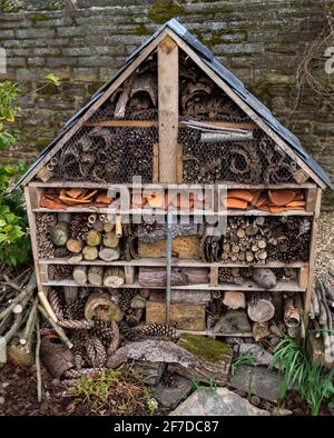 An insect house built to provide homes for bugs and mini beasts Stock ...